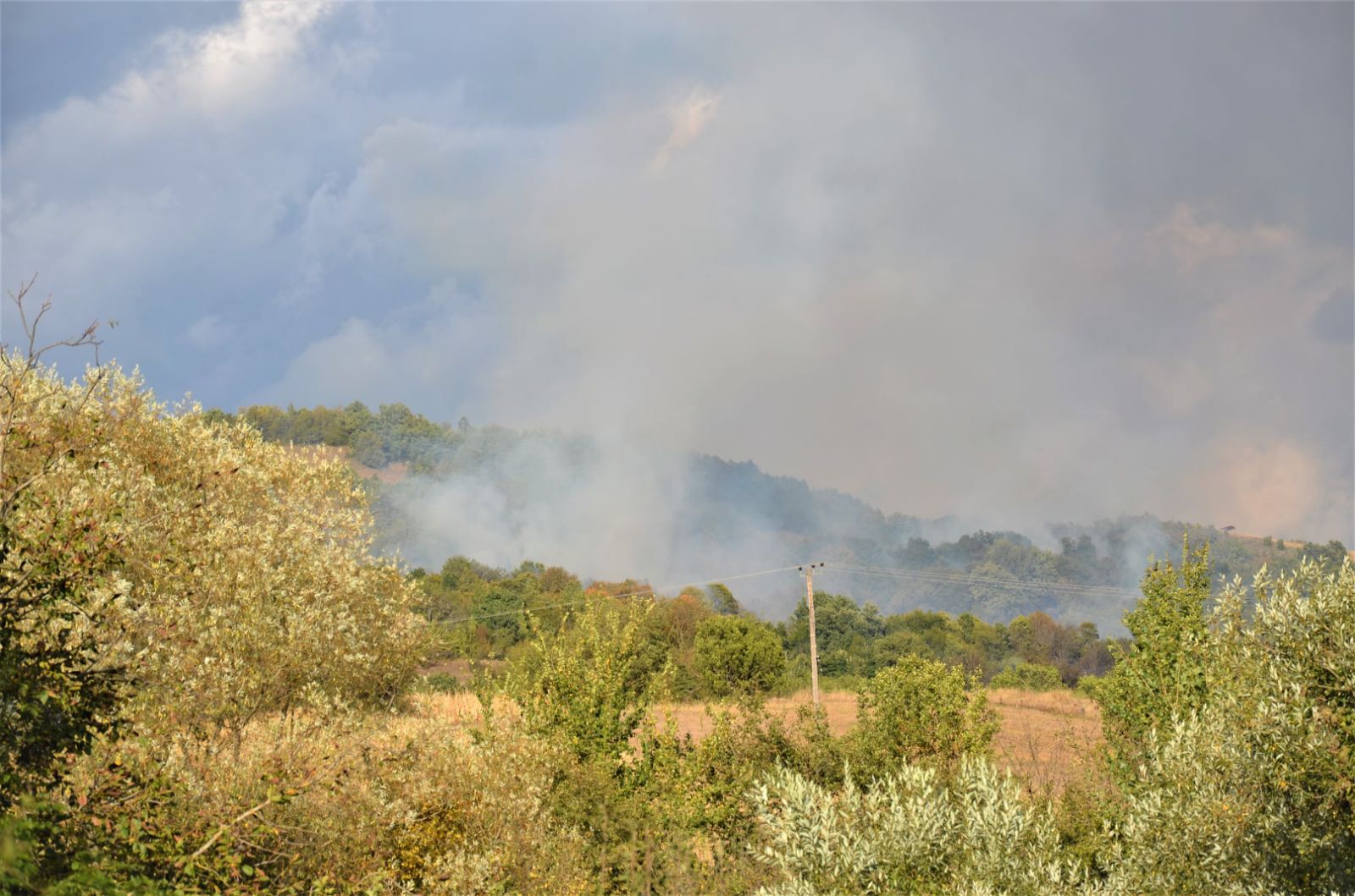 Συνεχίζει να καίει η πυρκαγιά σε δασική έκταση στους Ποταμούς Κ ...