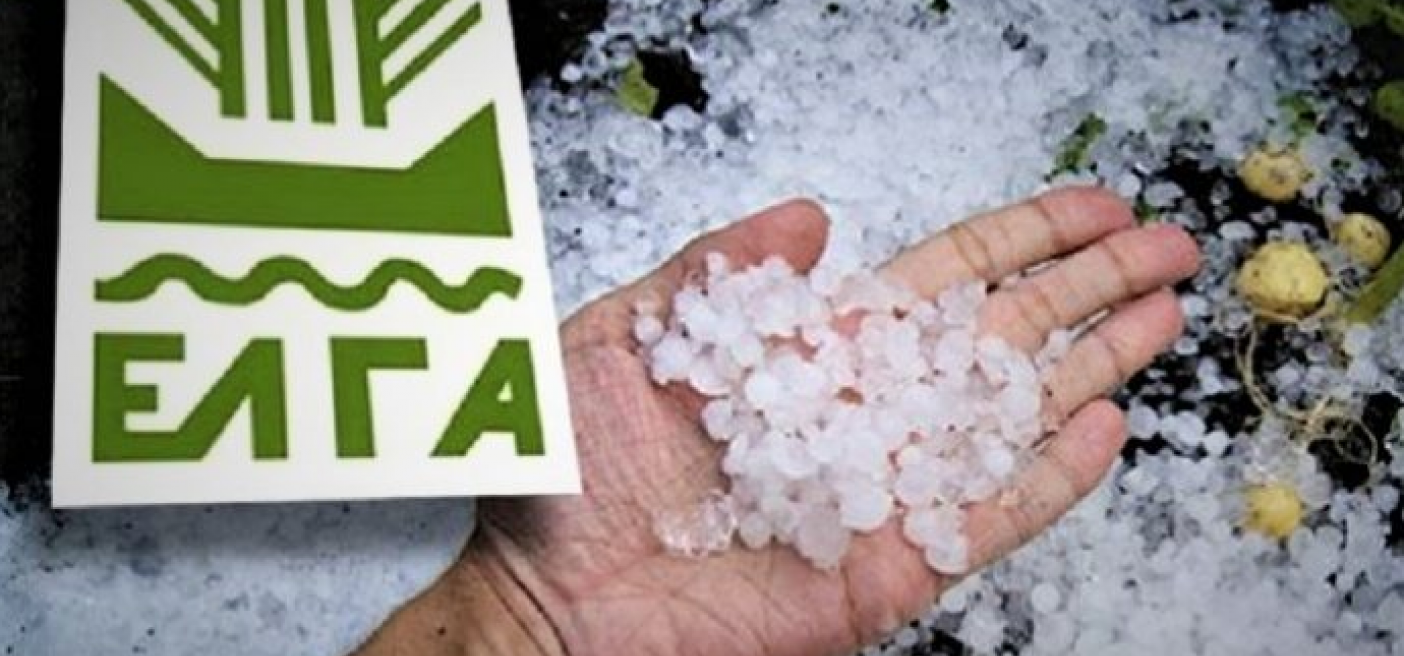 Οριστικοποίηση της αναγγελίας ζημιάς από τον ΕΛΓΑ για το χαλάζι σε ...